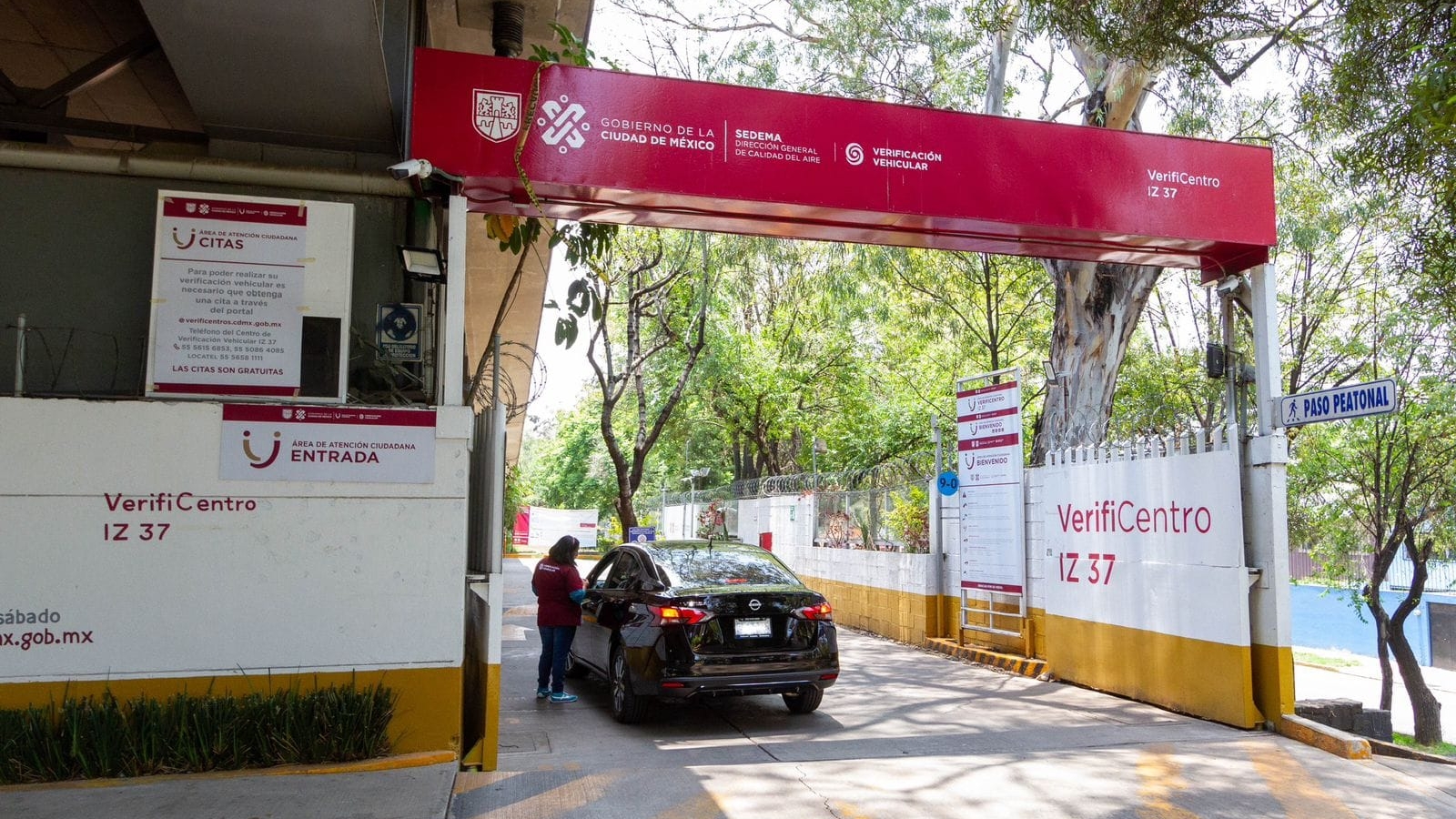 Últimos días para la verificación engomado rosa